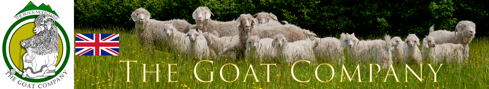 Mohair Socks and other Mohair Products from the Goat Company - The Goat ...